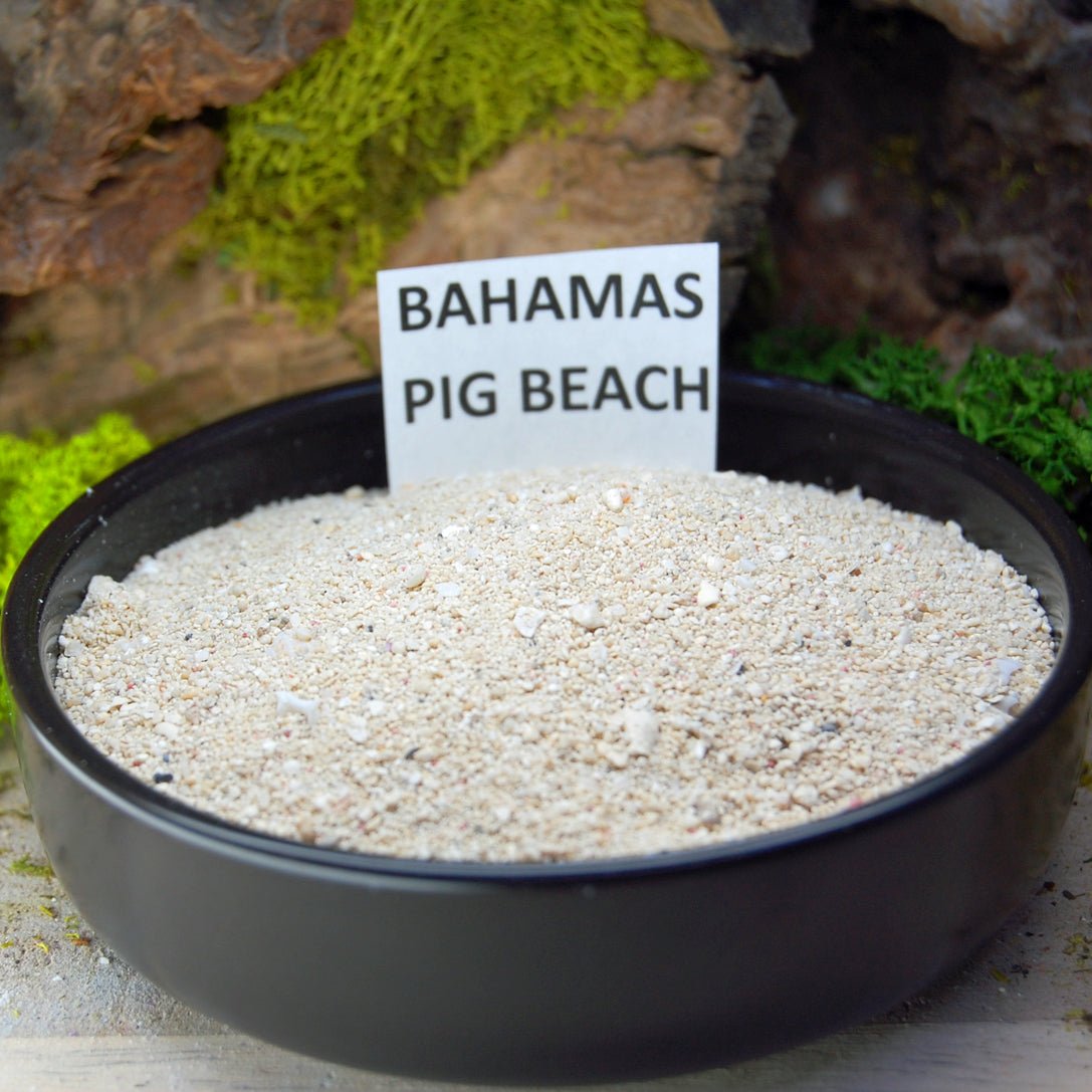 BAHAMAS Beach Sand Wedding Rings - How Earthy Materials Like Sand, Dir ...